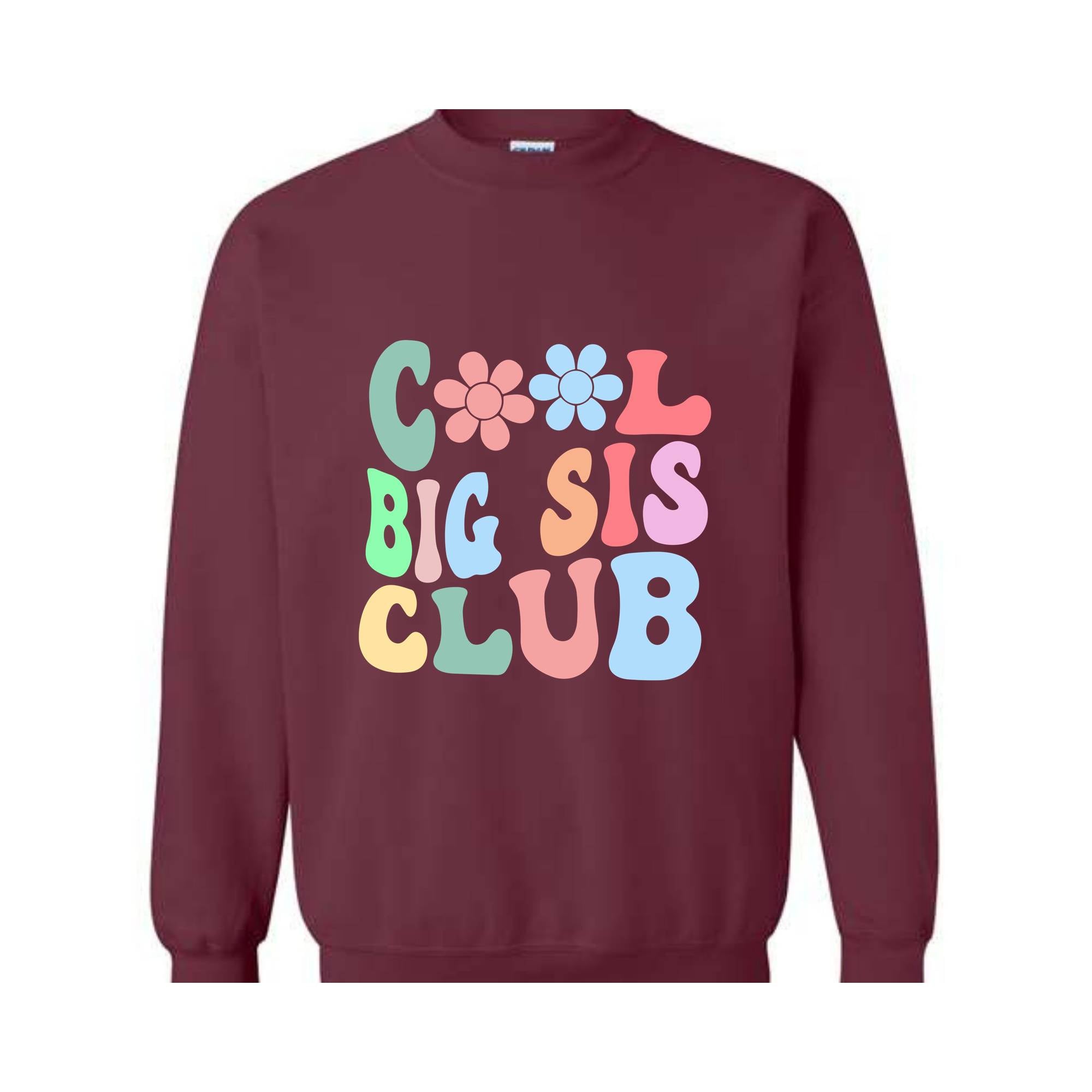 Cool Big Sister Sweatshirt, Sister Gift, Big Sister Sweatshirt, Big Sis ...